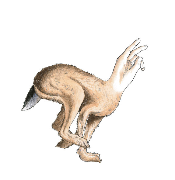 Chinese Shadow Hare - Mattia Andalò. Made with Maimeri watercolor and ...