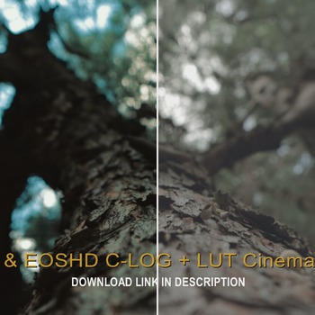 seguracine - seguracine