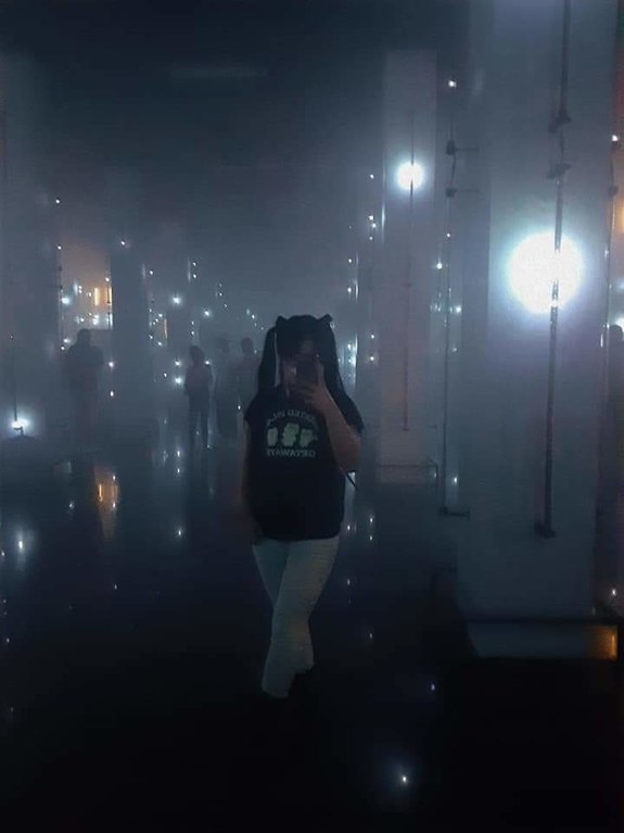 Museum Fiasco Kitten - Little Kitten Kalina. Kitten went to Area15 and ...