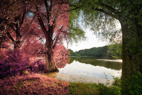 Infrared Effect Landscape, For Photos + Videos - Ah Photography ...