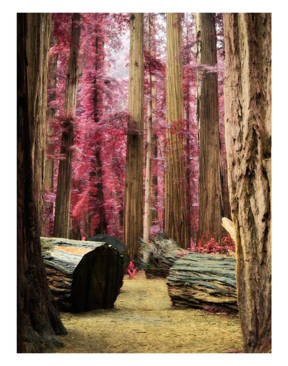 Infrared Film V2 - Ah Photography. Infrared Film V2 For Photoshop ...