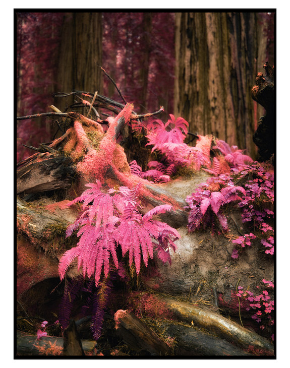 Infrared Film V2 - Ah Photography. Infrared Film V2 For Photoshop ...