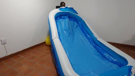 Blowing up inflatable pool by Ary!! - julielooner. In this video Ary ...