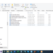TOTAL PERSONAL ORGANIZATION AND SYSTEM UPGRADE - Dr. Real Dope. This is ...